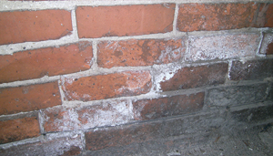 The Warning Signs of Rising Damp – Nottingham Damp Proofing
